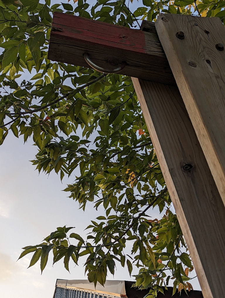 Deer hanging pole | Wildlife Habitat - Lets talk.....